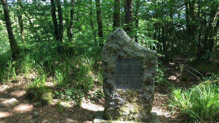 Vie et mort de Victor Segalen – Les vrais voyageurs